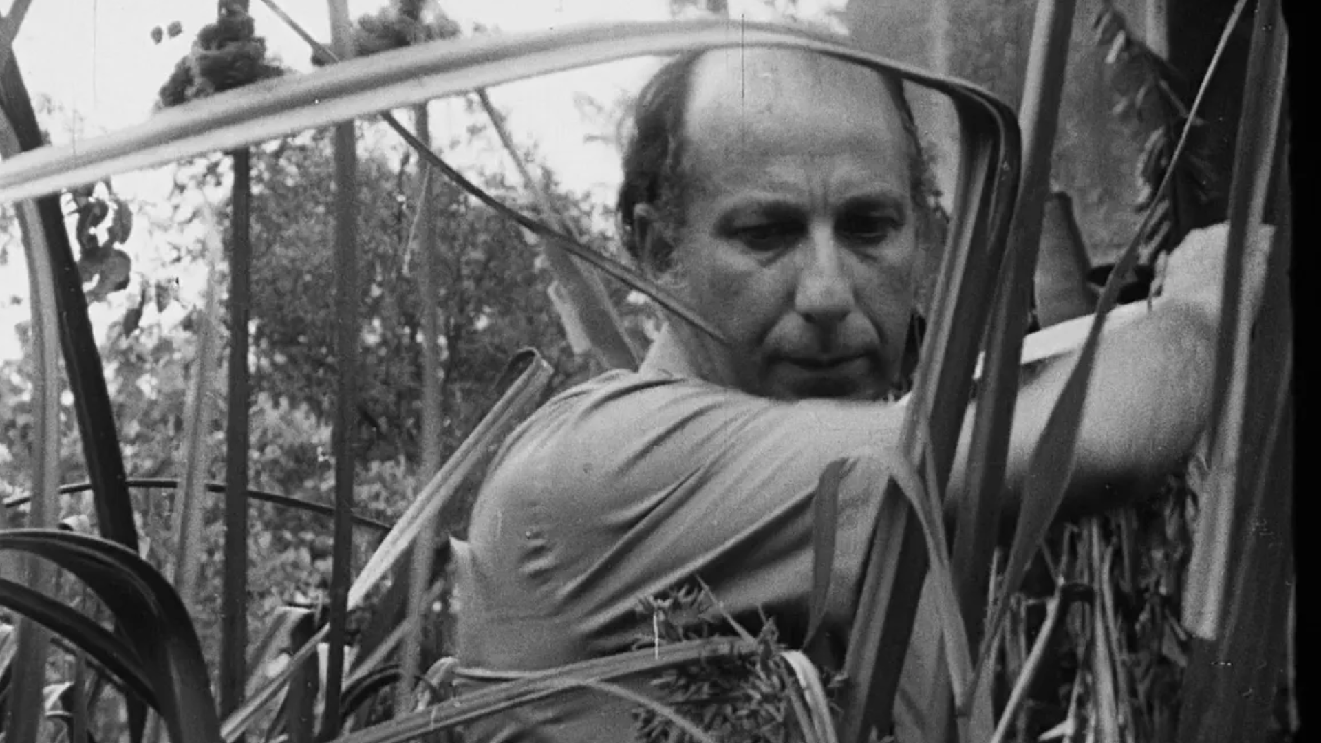 Haroldo Conti: un recorrido por su obra de no ficción